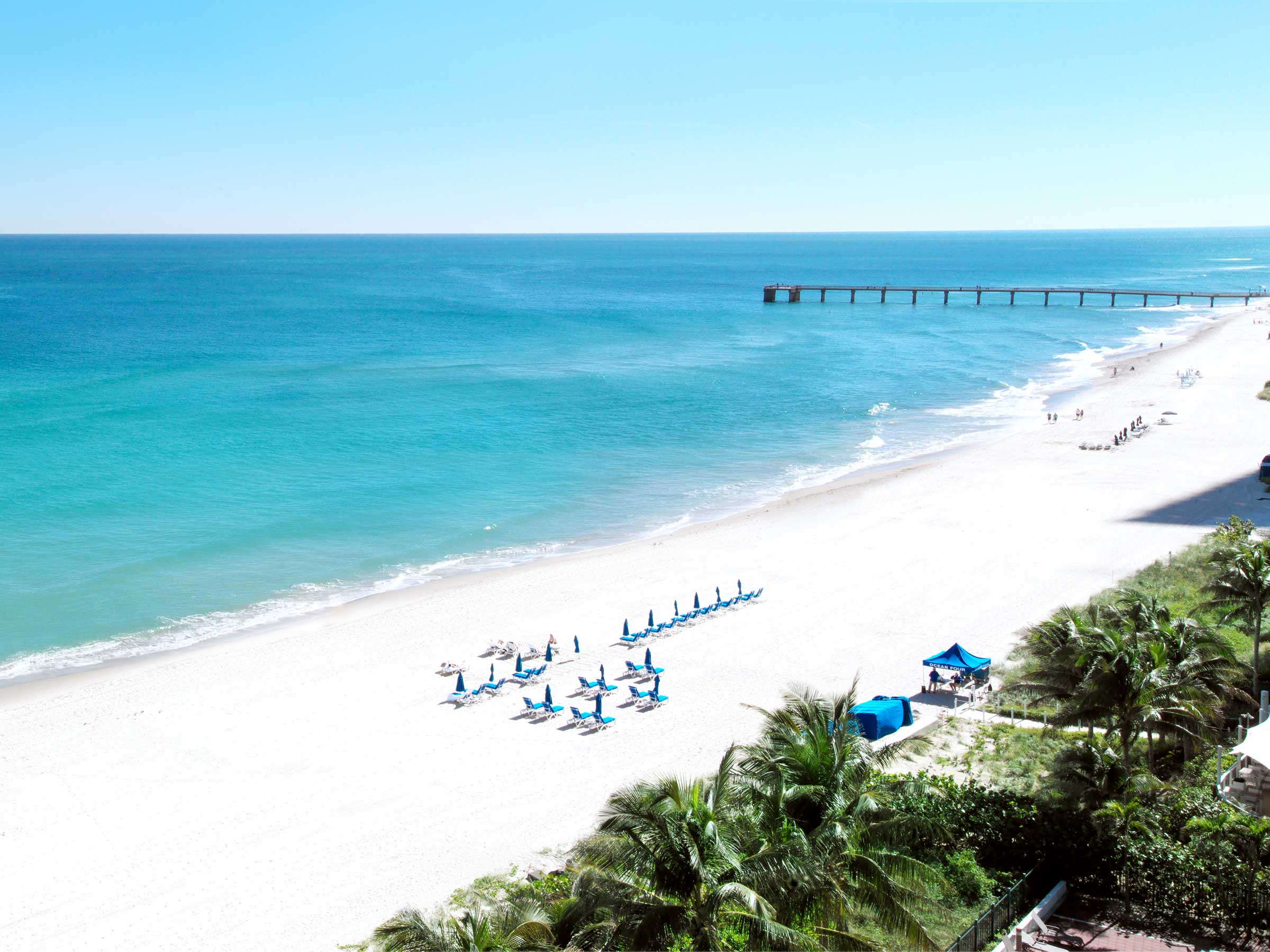 Sole Miami | Testimonials